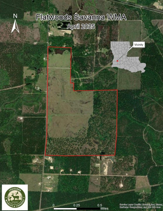 LDWF announces new wildlife management area in Allen Parish