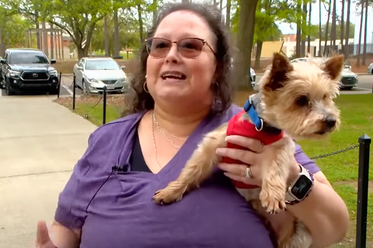 ‘So happy to have my baby back’: Frat brothers help lost dog reunite ...