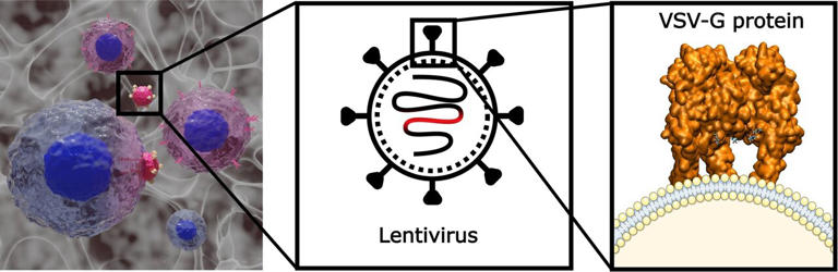 Newly-developed biomimetic materials can improve cancer immunotherapy