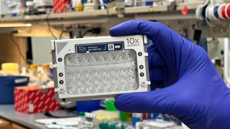 Scalable technique for single-cell sequencing enhances drug screening ...