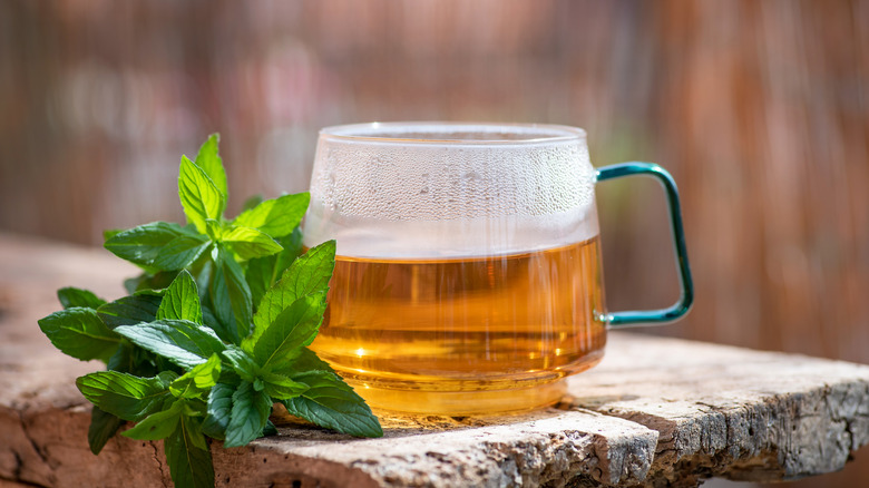 The Absolute Best Peppermint Tea Brand Will Leave You Feeling Totally ...