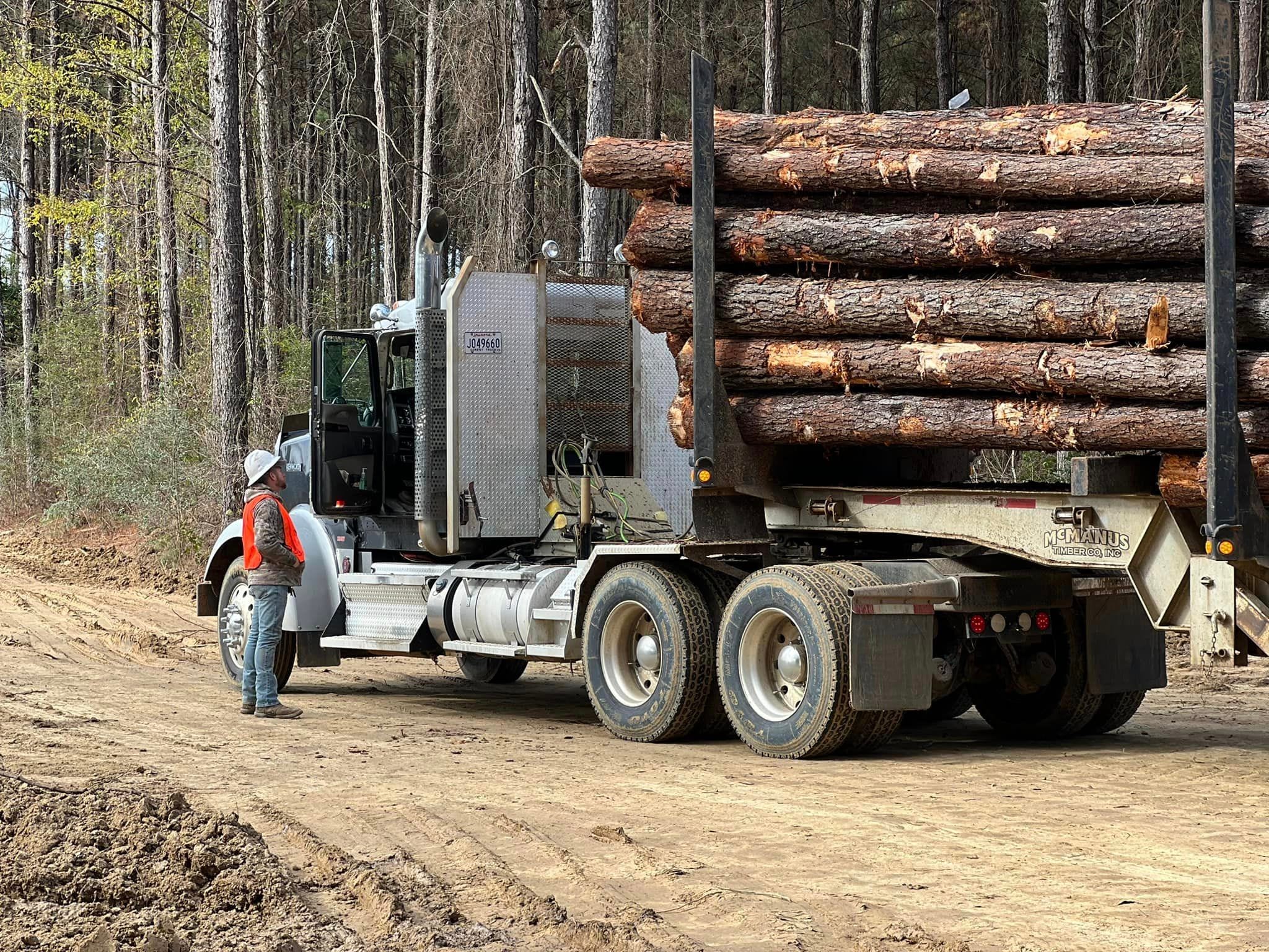 Trump increasing timber production in U.S. How has logging affected ...