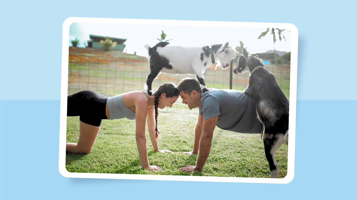 What Is Goat Yoga and Why Is It So Popular?