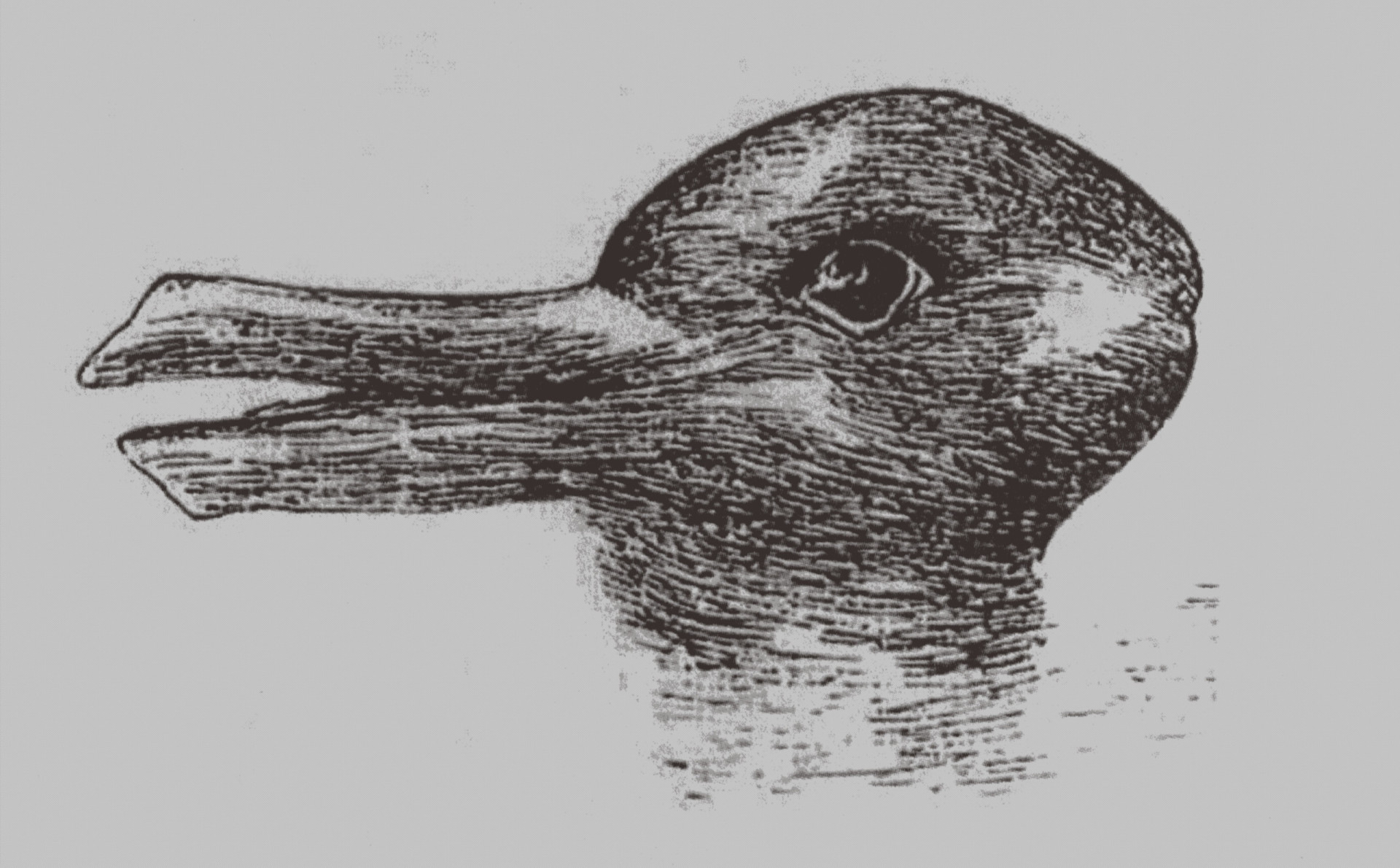 Can you trust your eyes? Explore mind-bending optical illusions