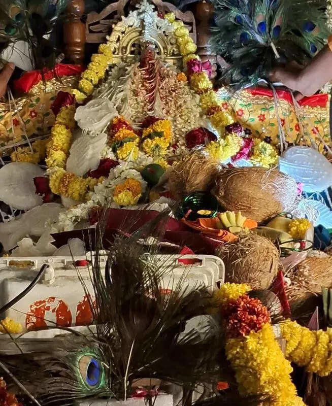 Padmavati Mata’s Palanquin Procession Continues 351-Yr-Old Tradition