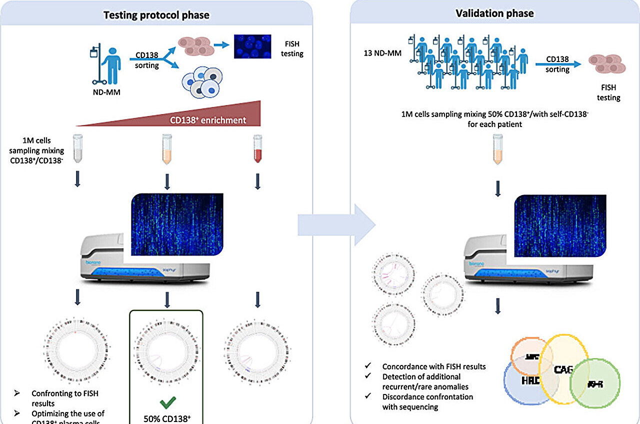 Optical genome mapping technology shows promise for diagnosis ...