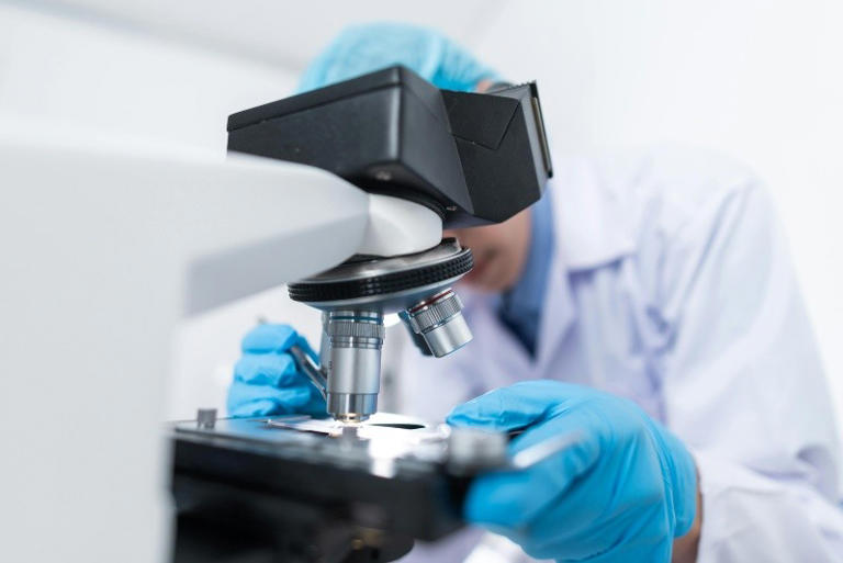 Desarrollan vacuna contra el cáncer para eliminar tumores y metástasis Desarrollan vacuna contra el cáncer para eliminar tumores y metástasis