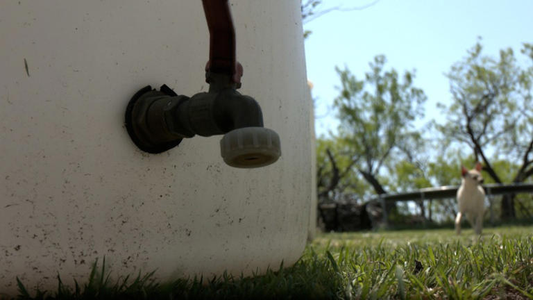 Catching rain, cutting costs: A drought-friendly fix for Big Country homes