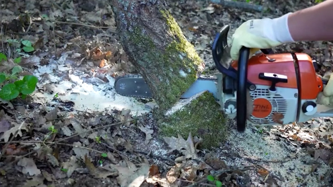 Here's how to Safely Clear Tree Stuck Hazard