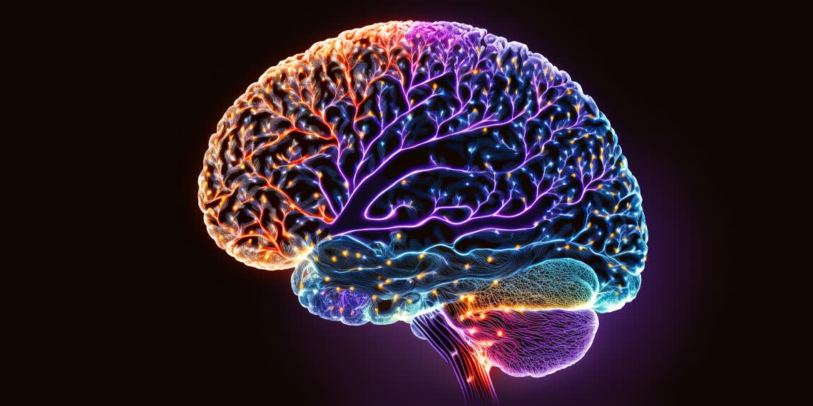 Brain imaging method detects genetic markers of autism with over 90% ...