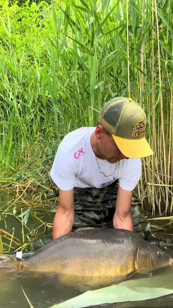 Catch of the Day Expert Fishing Tips & Viral Videos for Every Angler