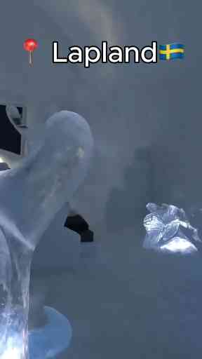 Your Ultimate Guide to the Arctic Escape