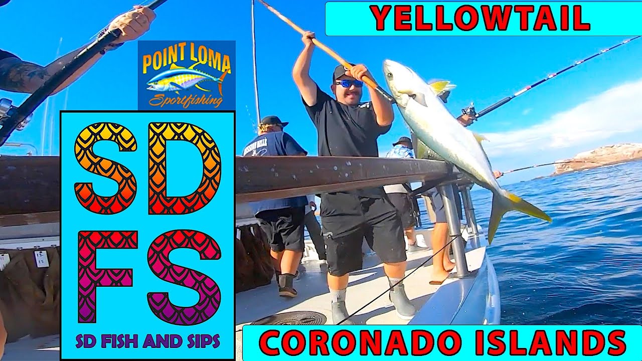 Chasing Yellowtail at the Coronado Islands – Mission Belle Adventure