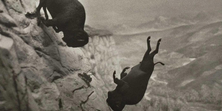 Eddington Trailer & Release Date: Ari Aster Reteams With Joaquin ...