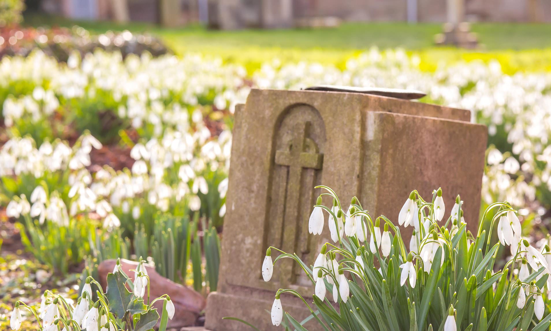 Woman claimed her dead mum's pension said it was to 'keep her alive'