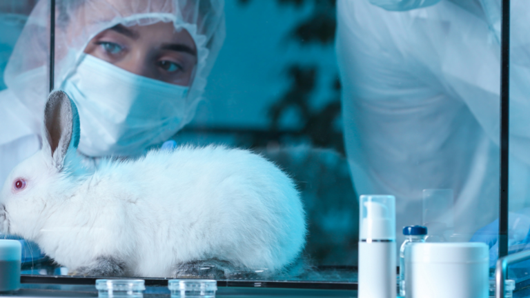 FDA Plans To Halt Animal Testing For Drug Approval, What Could Replace It?