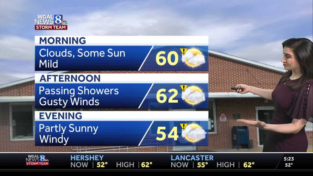 45 MPH GUSTS | Wind advisory issued for the Susquehanna Valley