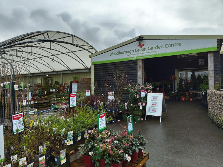 The 9 top-rated Nottinghamshire garden centres that are well worth a ...