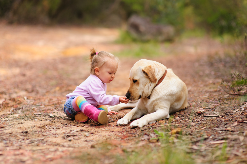 Dog Breeds That Love Kids: The 15 Most Family-Friendly Companions