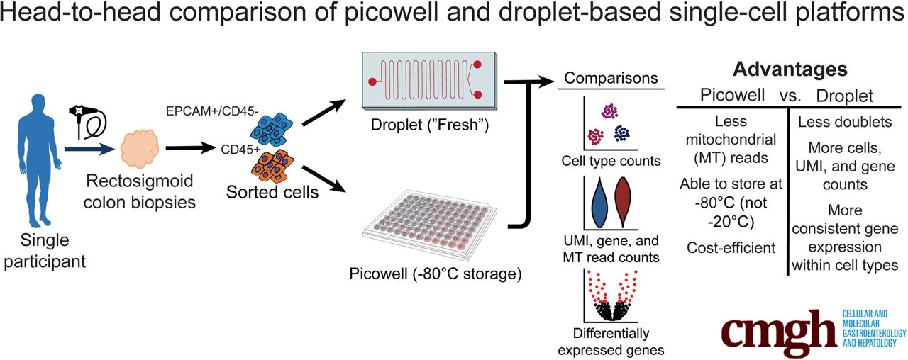 Single-cell profiling methods compared for gut biopsy analysis