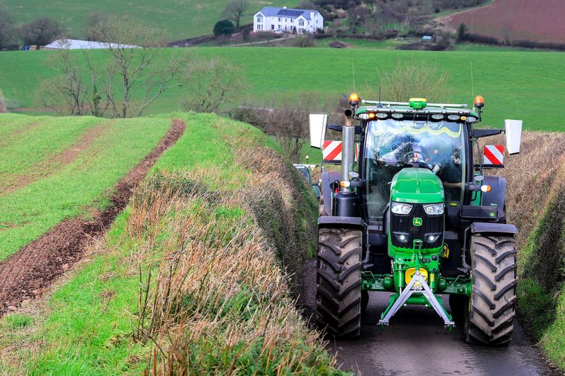 Devon farmers risk losing thousands of pounds as government scheme ends