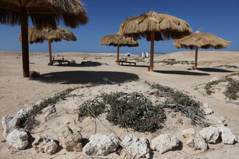 Egypt’s tourism boost risks ruining country’s beaches forever ...