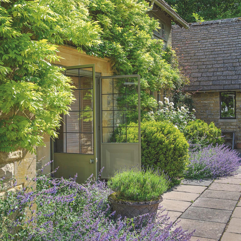 8 of the most calming plants to grow in your garden to transform your ...
