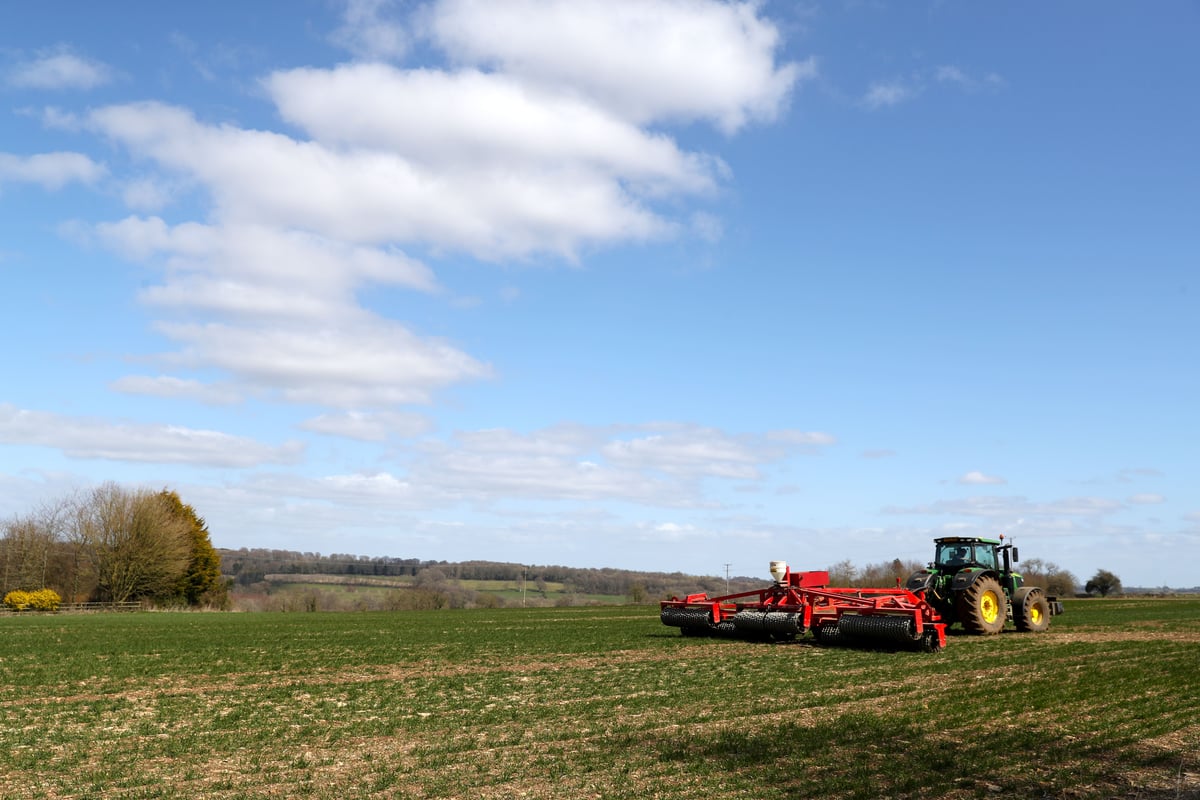 Farmers warn of impact on wildlife of closure of nature-friendly ...