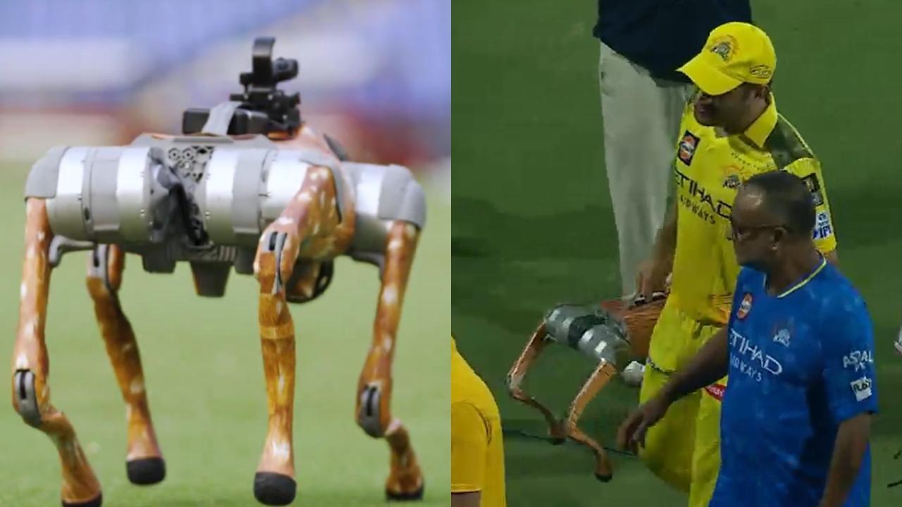 Dhoni befriends IPL`s robo dog, carries it back to dressing room after ...