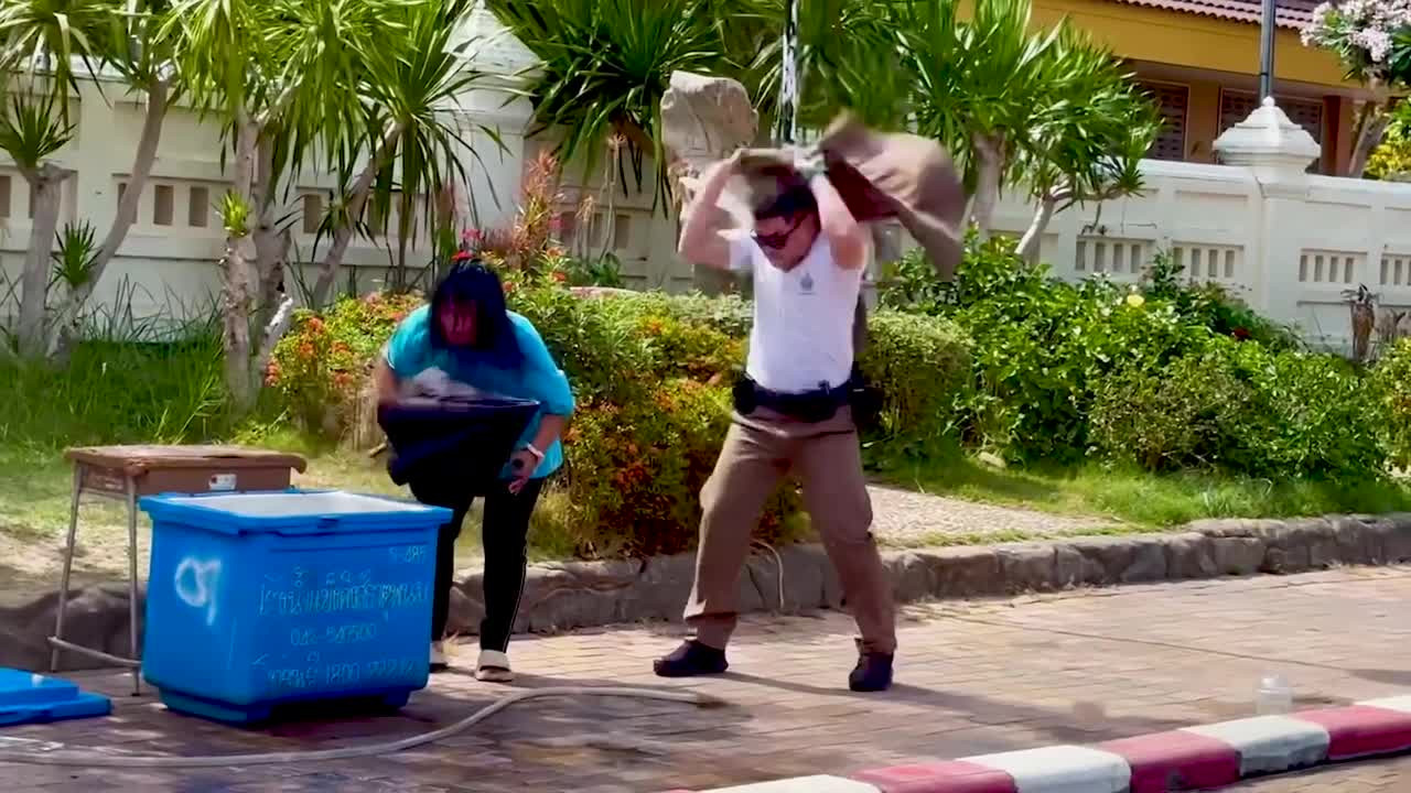 Hero policeman saves woman from swarm of attacking bees