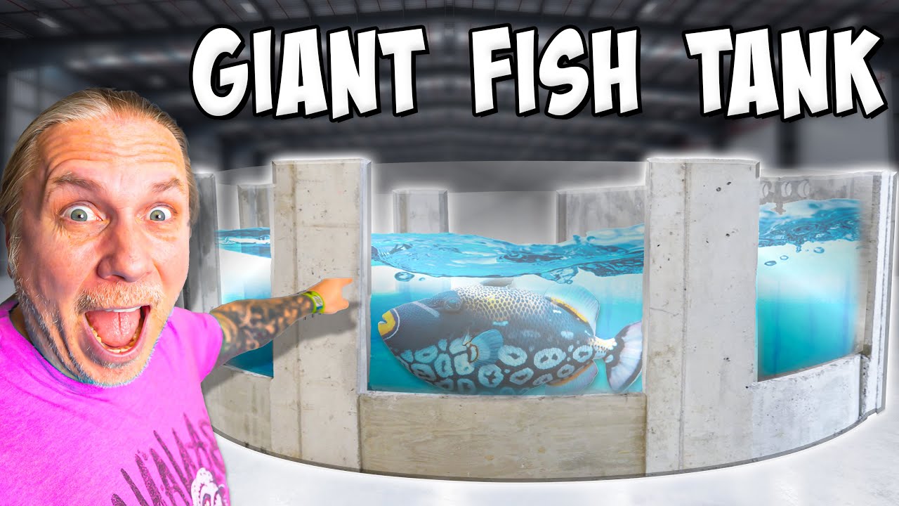 4 New 10,000G Tanks for LegaSea Aquarium