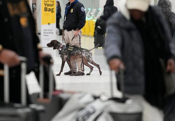 TSA warns of new 'major change' coming in weeks for US air travellers