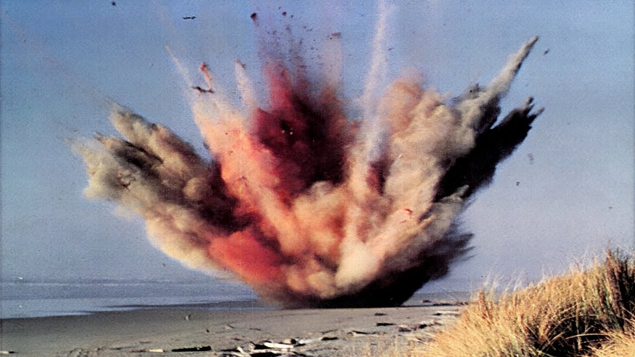 The Exploding Whale Incident – Oregon’s Most Bizarre Disaster