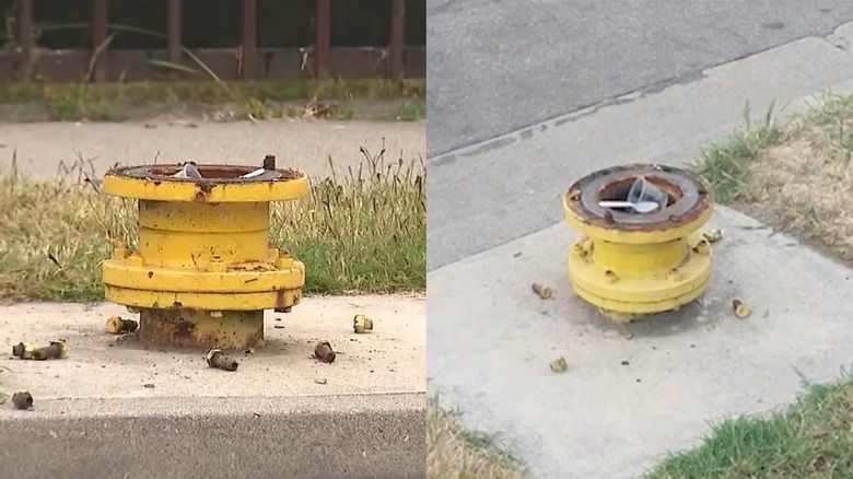 Why Do People Steal Fire Hydrants? Officials Aren't Sure, But There's ...