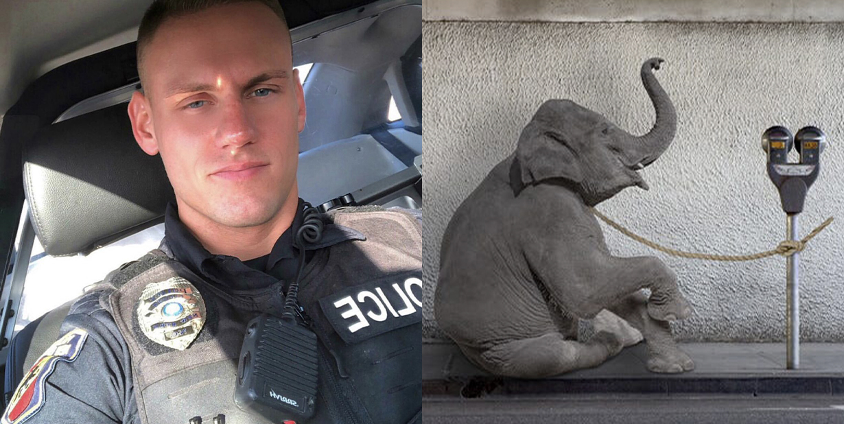 Strange Driving Laws Around the World