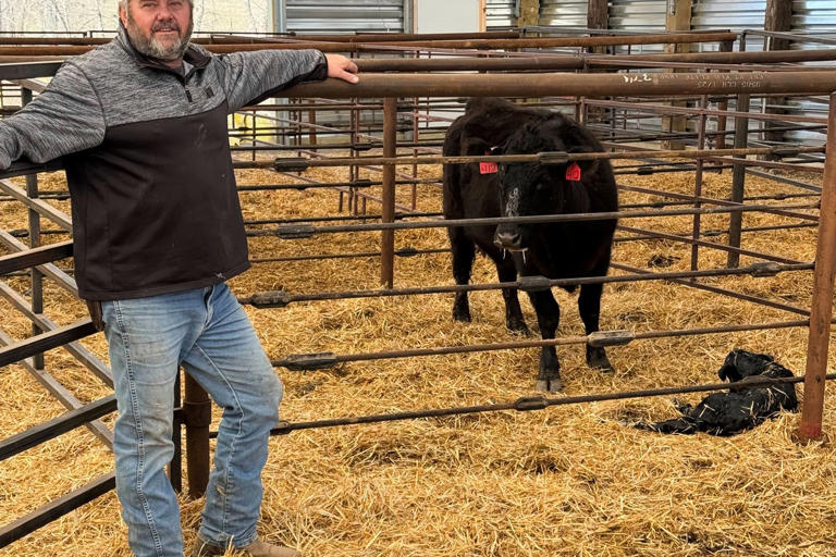 Ranchers hope Trump's tariffs boost demand for cattle but some fear ...