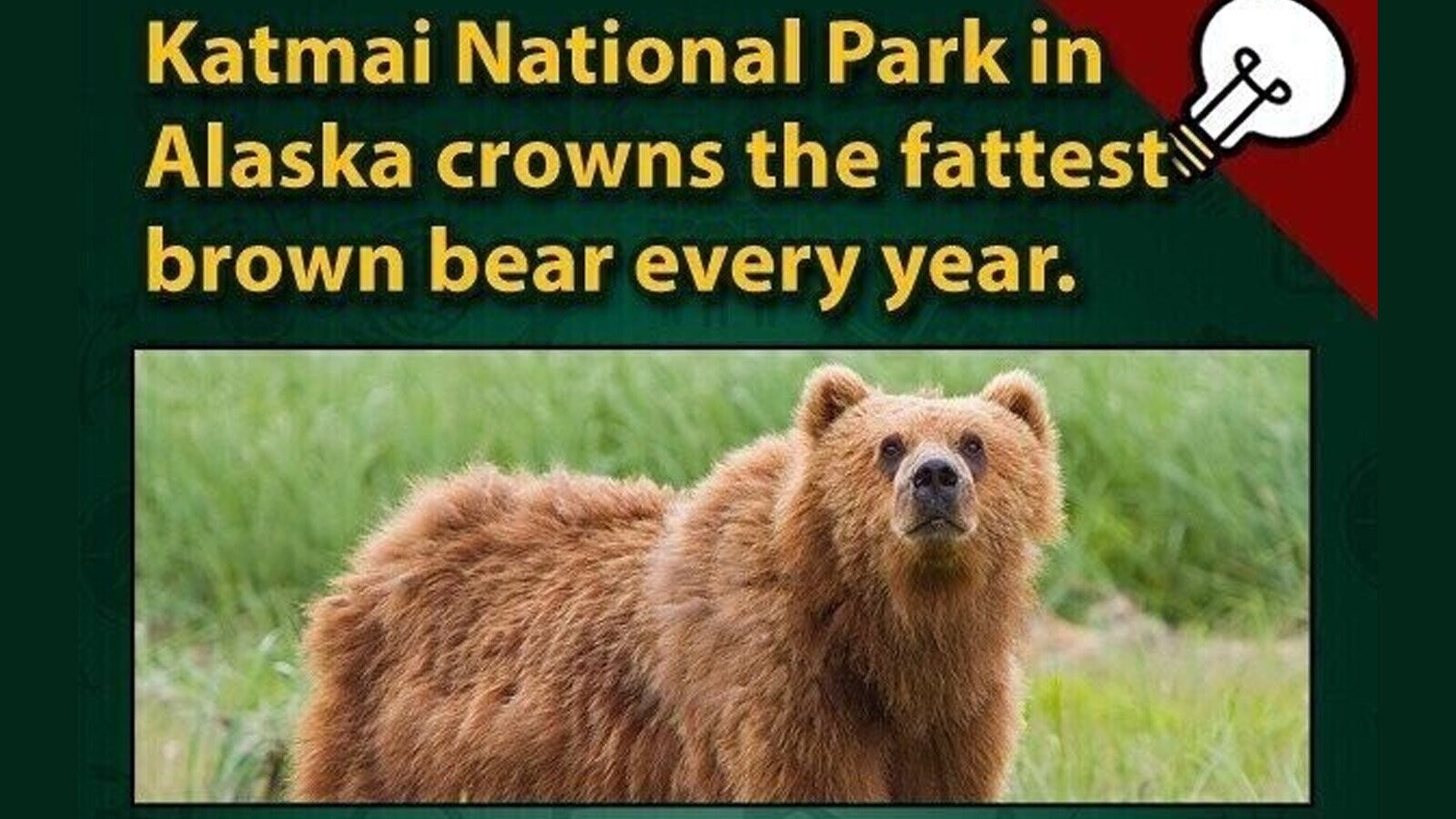 36 Vibrant Bits of Trivia That Only Royalty Could Afford at One Point ...