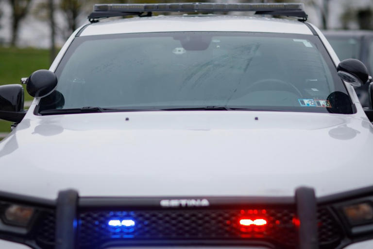 Driver cited from Lancaster County horse & buggy crash that injured ...