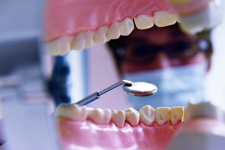 Tooth Successfully Grown in Lab