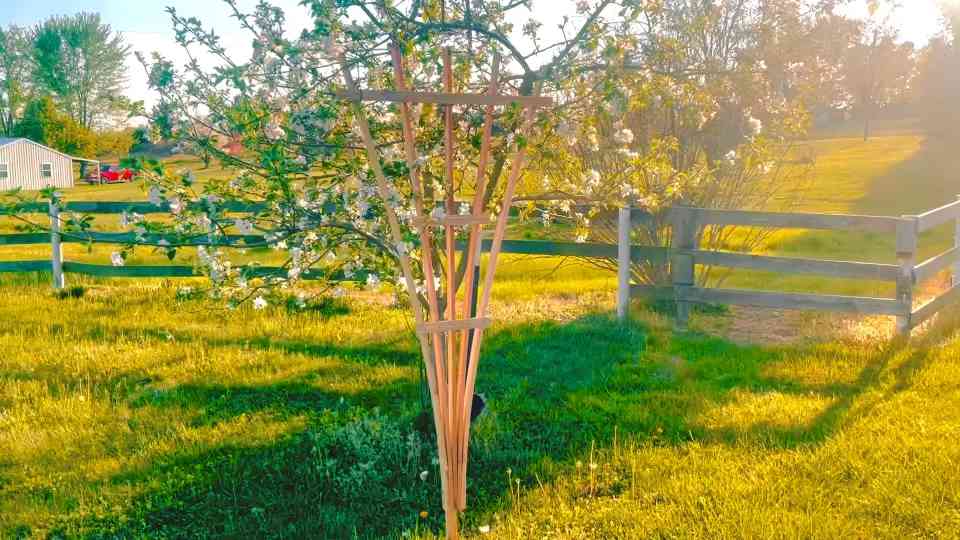 EASY DIY GARDEN FAN TRELLIS.