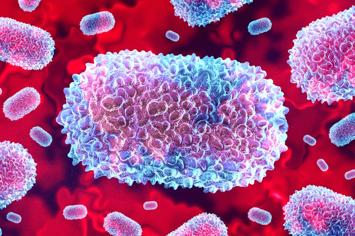 WHO tests the world’s pandemic response with fictional ‘mammothpox ...