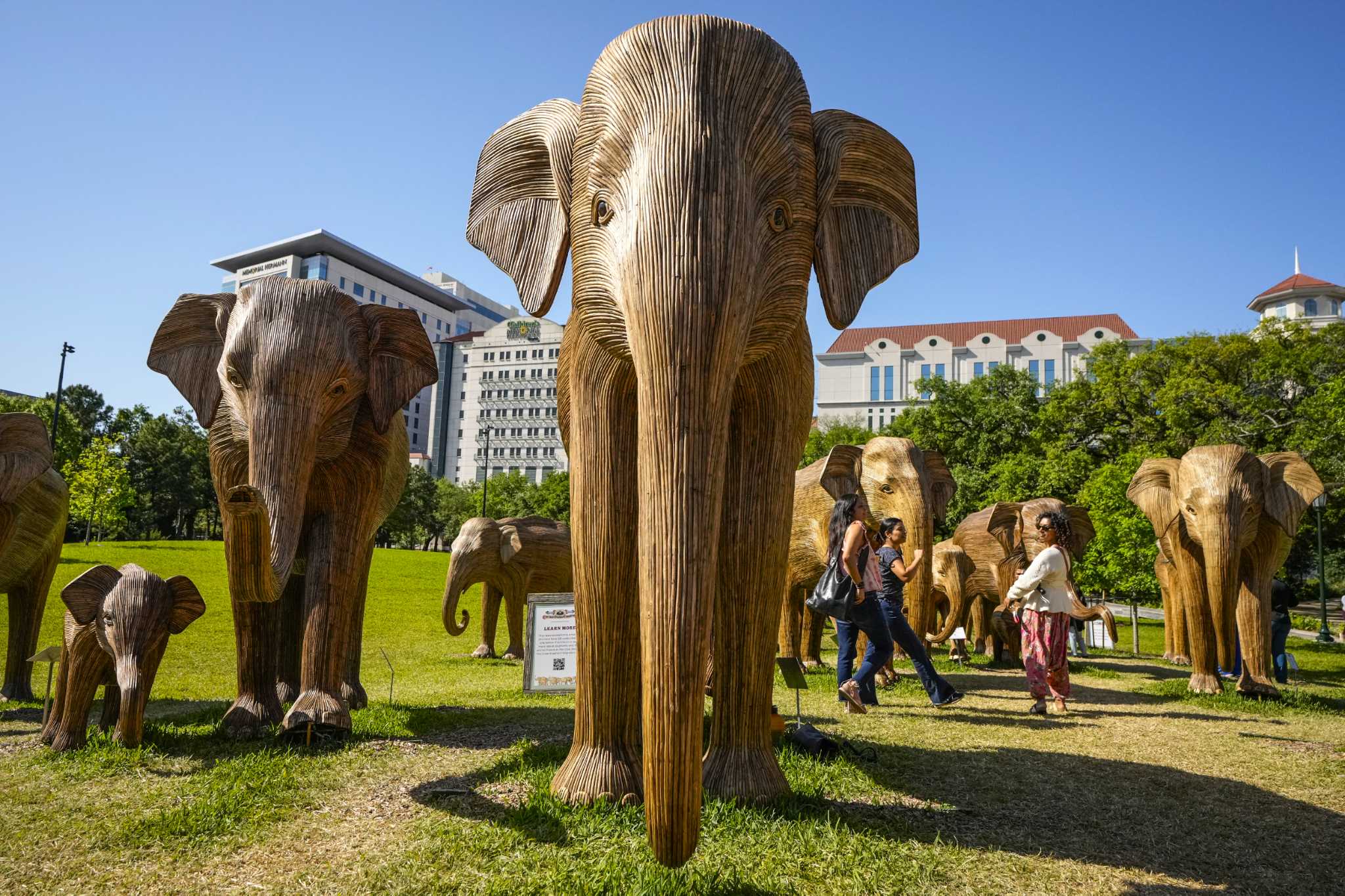 The Great Elephant Migration is in Hermann Park through April. How the ...