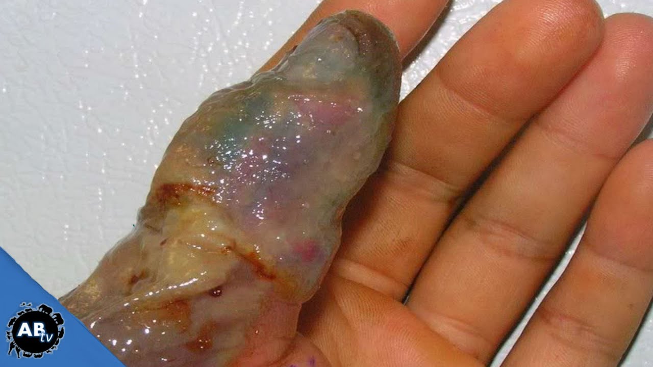 Killer Venomous Snakes! EP. 420; SnakeBytesTV