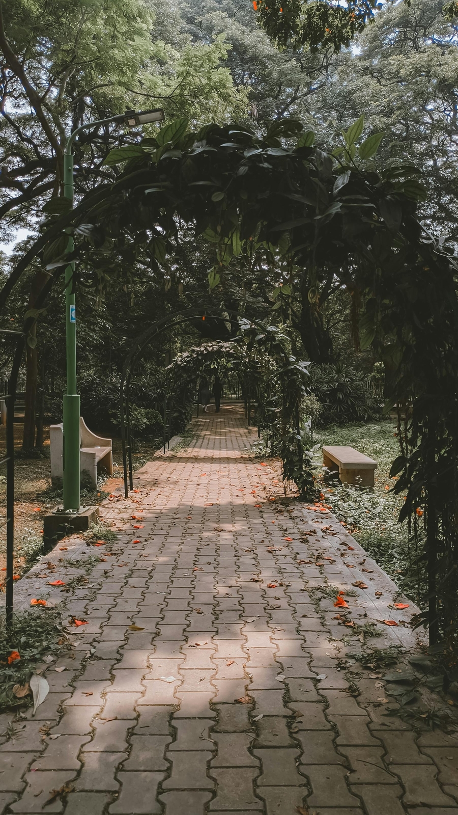 Things that slowly disappeared from Bengaluru, according to the internet