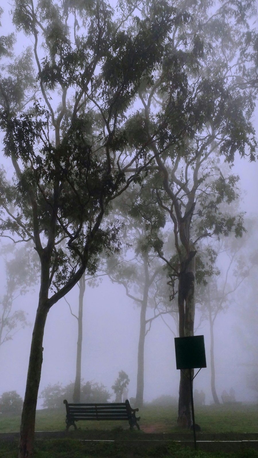 Things that slowly disappeared from Bengaluru, according to the internet