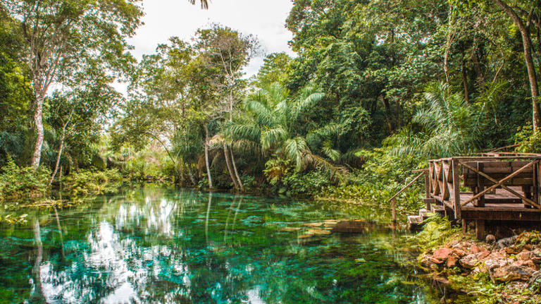 One Of The World's Most Transparent Rivers Is A Vibrant Spring-Fed ...