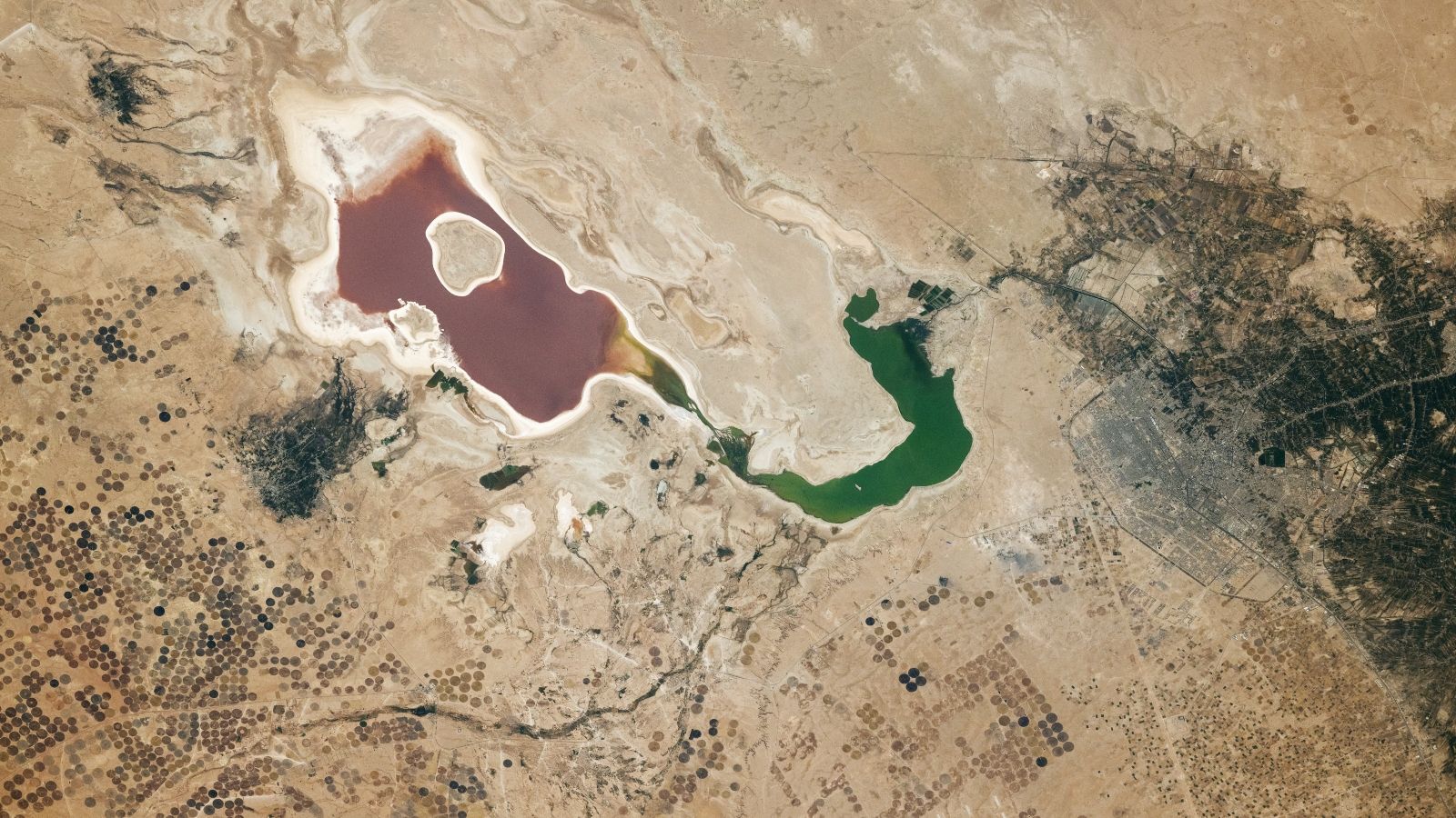Crop circles surround Iraq's multicolored 'Sea of Salt' after years of ...