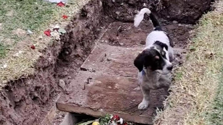 Crop circles surround Iraq's multicolored 'Sea of Salt' after years of ...