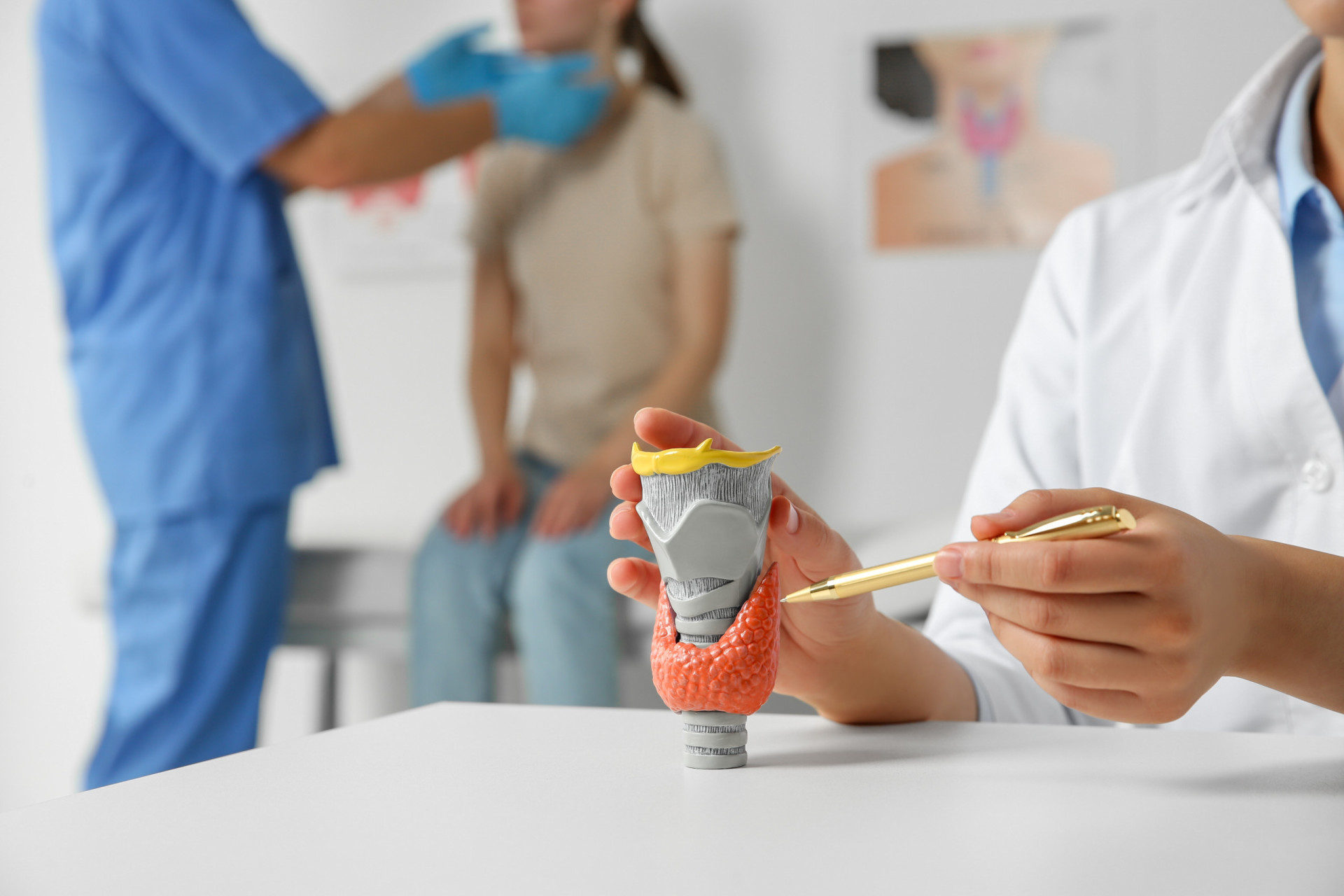 Thyroid 101: Everything you need to know
