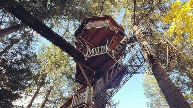 Hidden In Southern Oregon's Forests Is A Quirky Treehouse Resort Offering Endless Outdoor Adventures